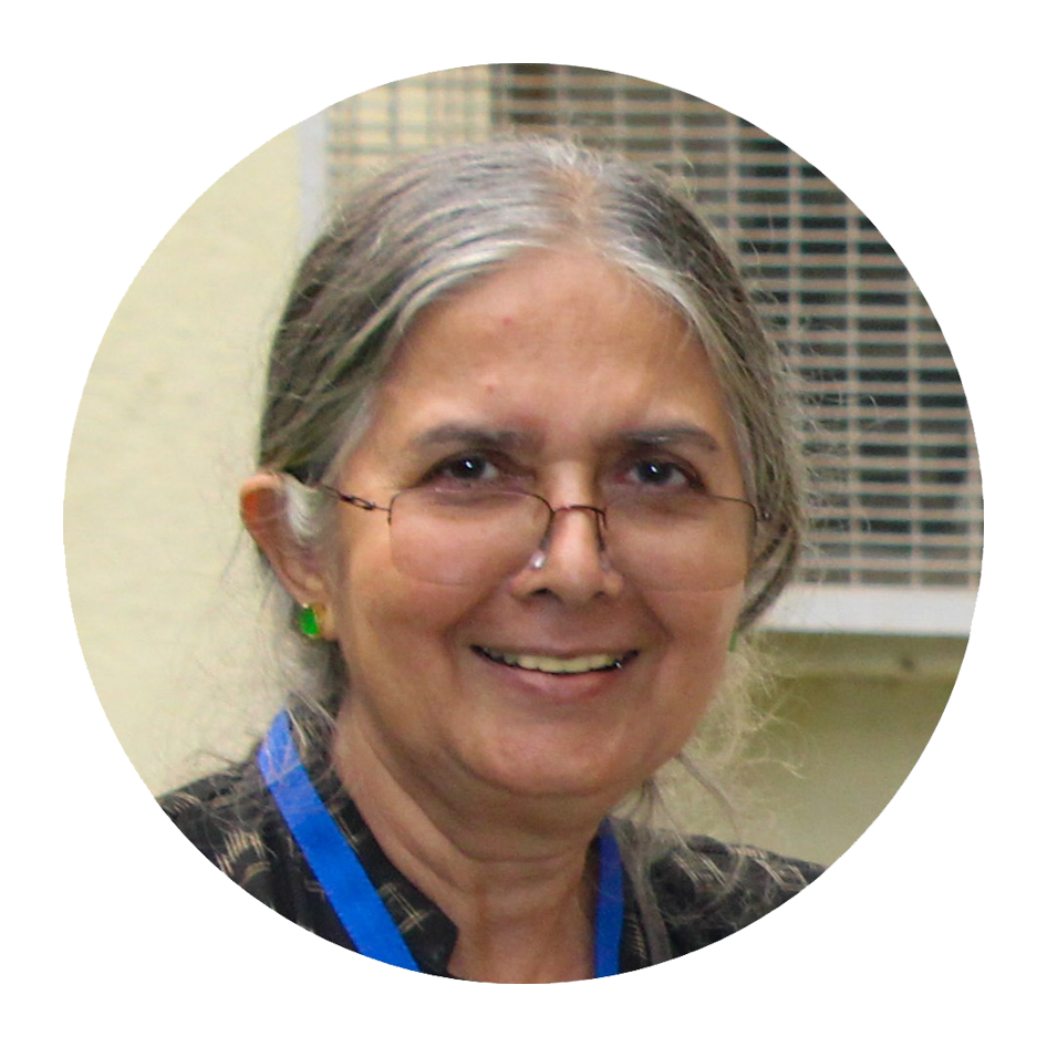 Roma Chatterji Patua Scroll Collection - Colombo Institute